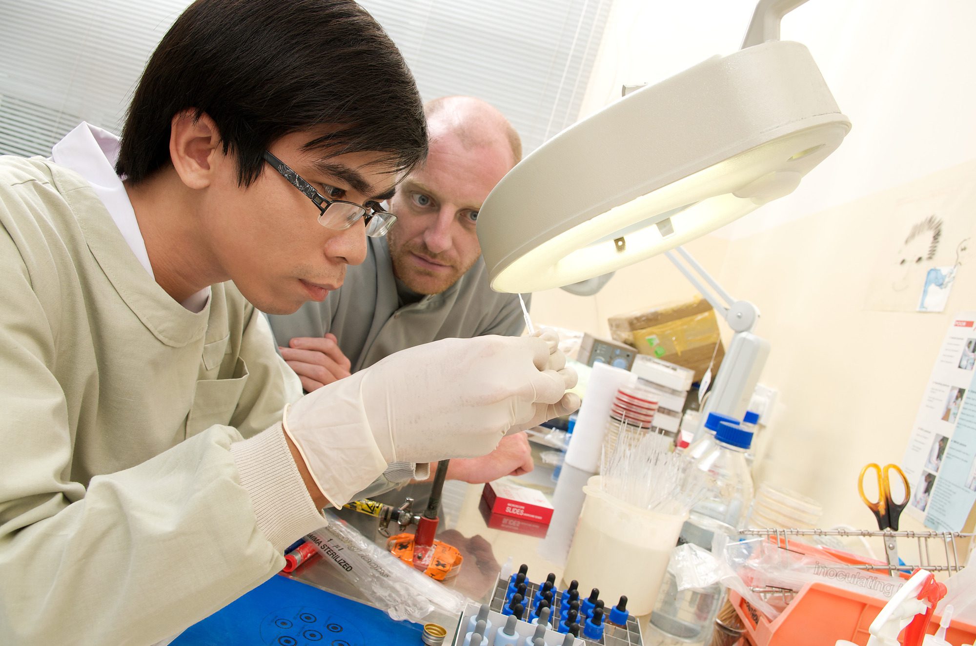 Molecular Epidemiology - OUCRU